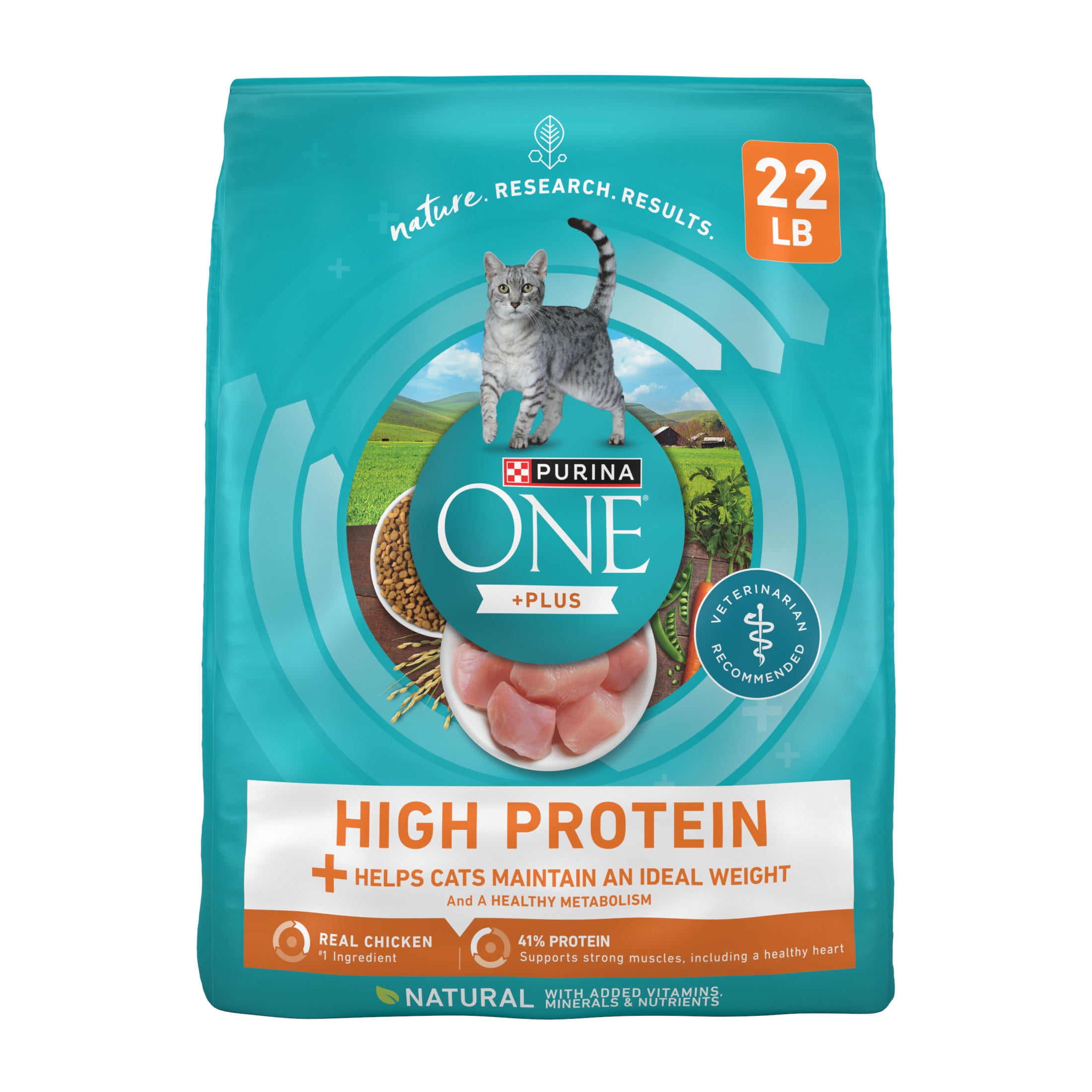 Purina ONE Plus Weight Control Chicken Flavor Dry Cat Food, 22 lb Bag ...