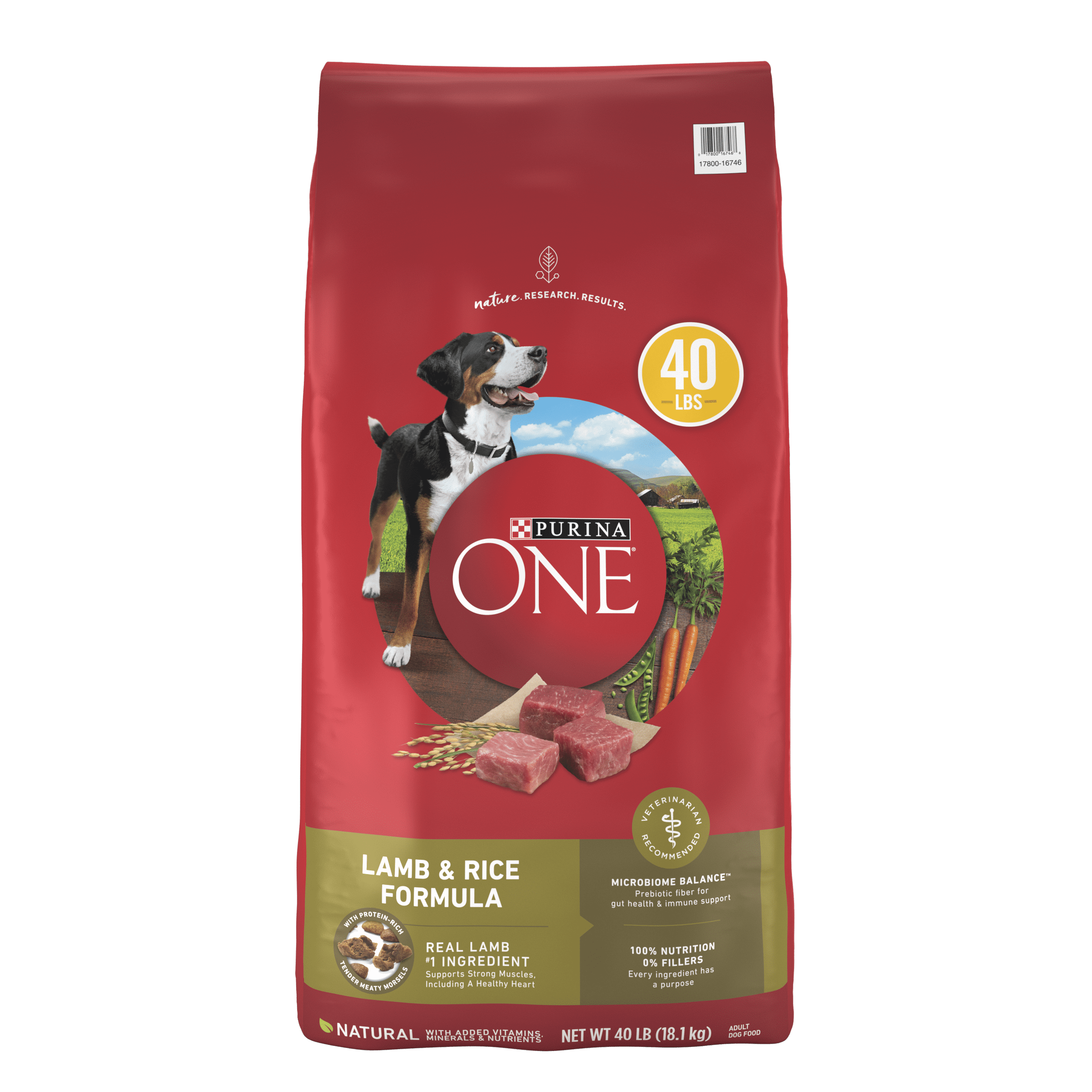 Purina ONE Plus Dry Dog Food for Adult Dogs, Real Protein Rich Natural ...