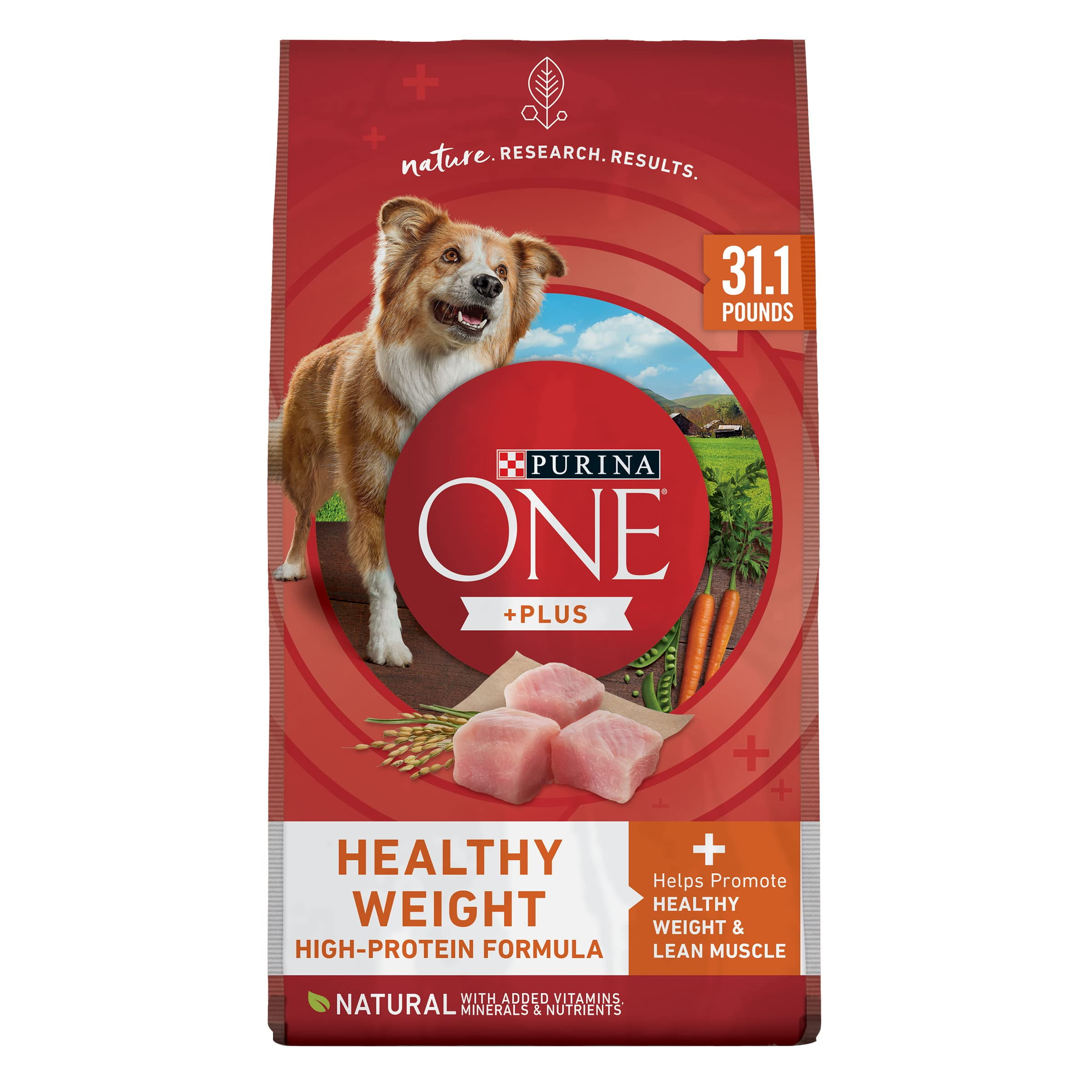 Purina ONE Plus Healthy Weight High-Protein Dog Food Dry Formula - 31.1 ...