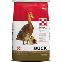 Nutrena 92237 NutreBeef Cattle Breeder Feed Cube with 37% AN, 50 lb ...