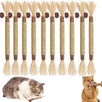 Rotating Wall-Mounted Cat Toy with Replaceable Gall Fruit Balls – Self ...