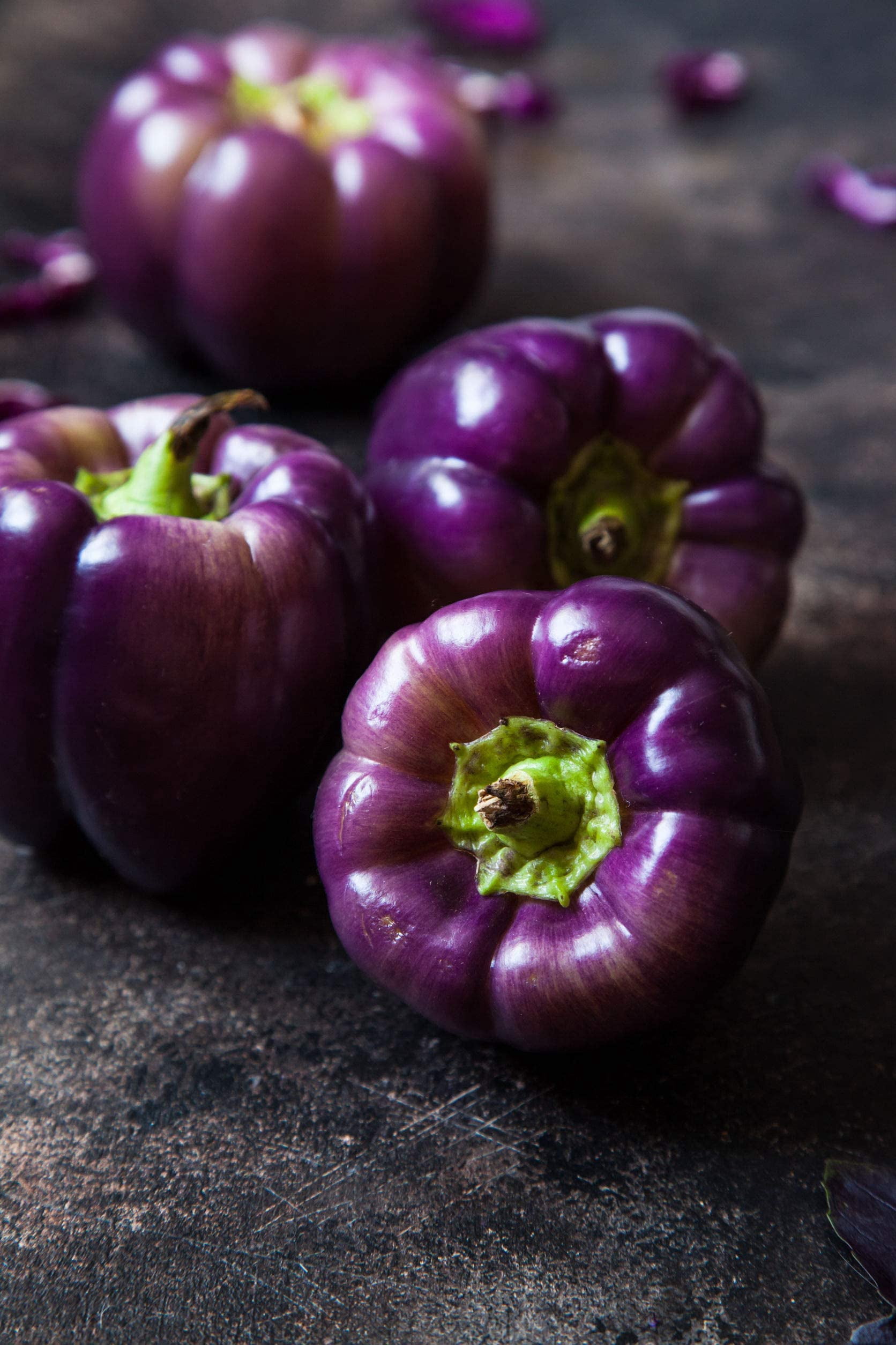 Purple Beauty Pepper Seeds to Plant - 100+ Seeds - Versatile Pepper for ...
