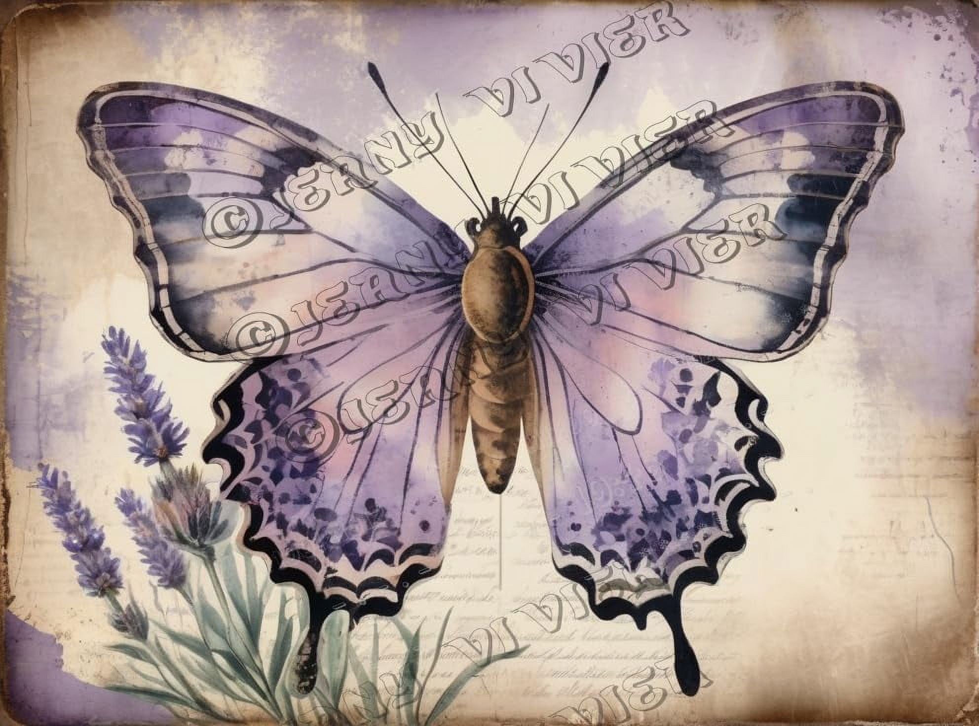 Purple Butterfly and Lavender Flower Retro Aluminum Sign 12"x16" Metal ...