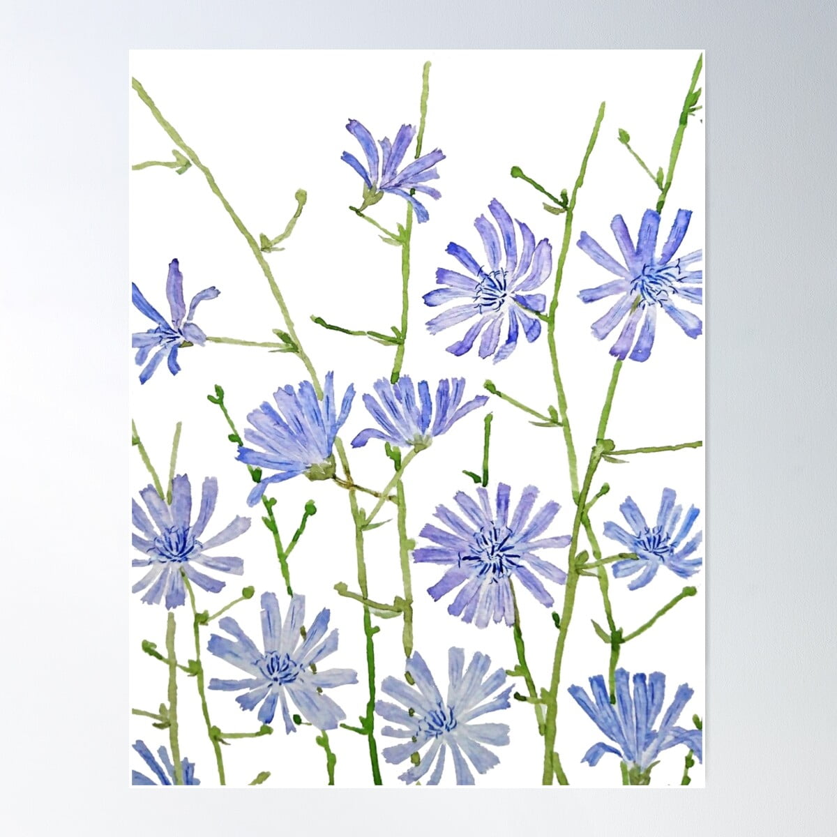 Purple Chicory Watercolor Poster Wall Art, Modern Wall Decor For Living ...
