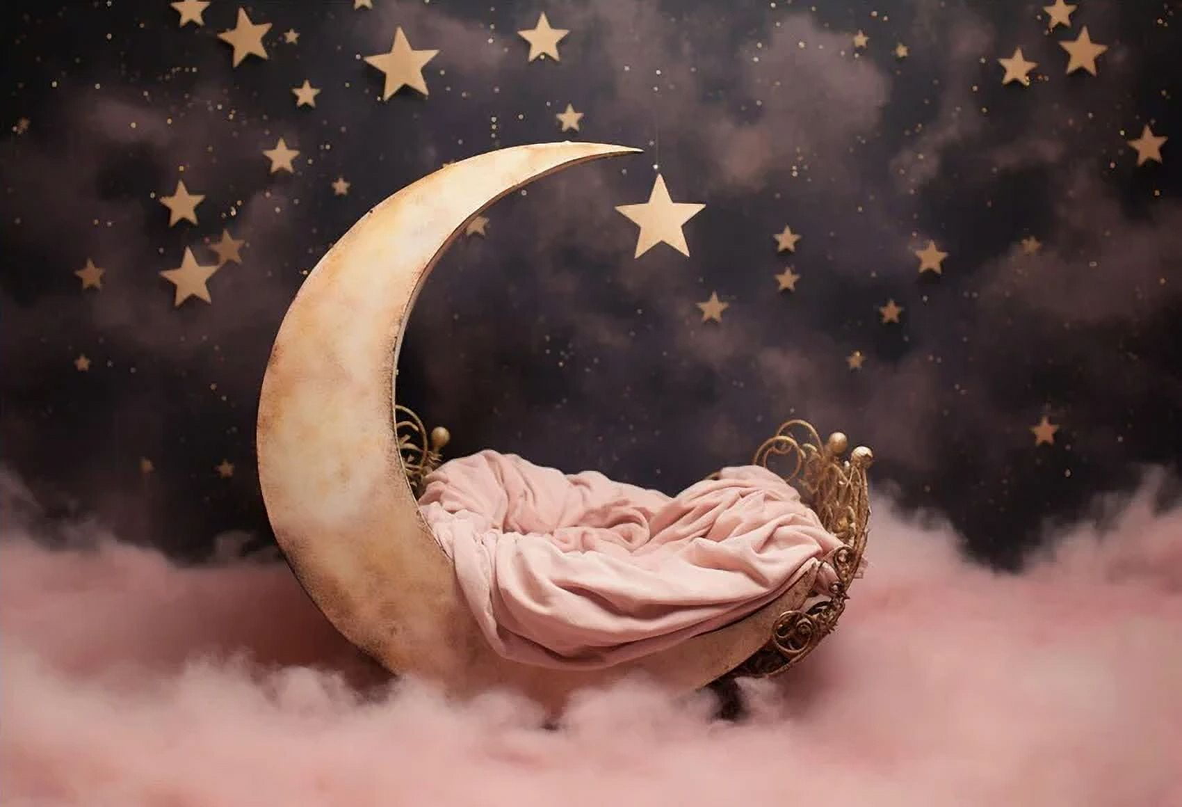 Purple Cloud Moon Stars Flowers Newborn Baby Birthday Party Portrait r ...