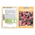 Purple Coneflower Wild Flower Seeds - 1 Gram Packet - Wildflower Garden ...