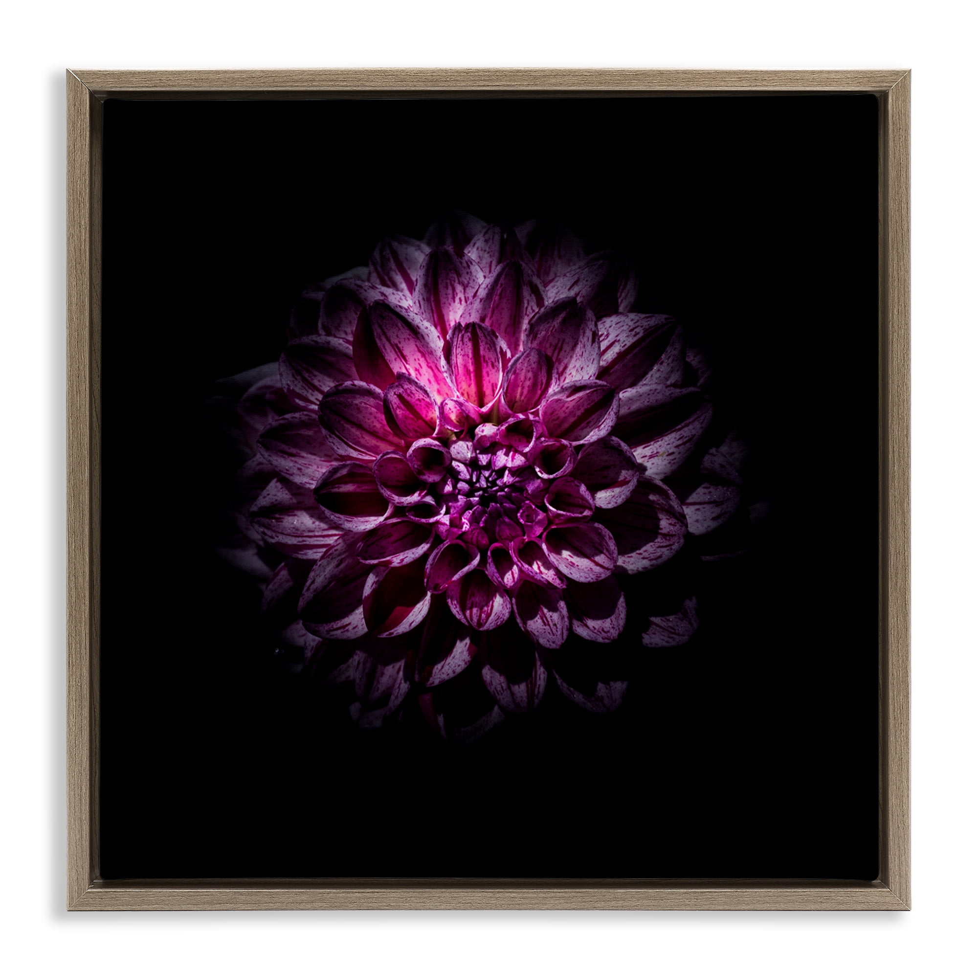 Purple Dahlia Dark Contemporary Brown Framed Floater Canvas Wall Art ...