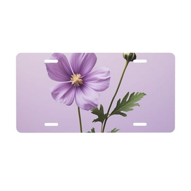 Daisy Flower and Butterfly License Plate Frames for Women Men Car Plate ...