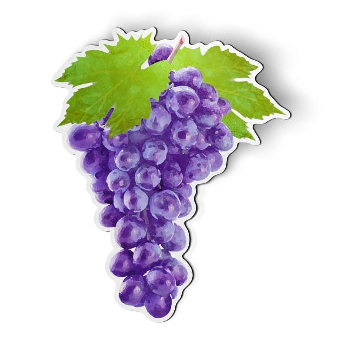 Purple Grapes - 5.5" Magnet for Car Locker Refrigerator - Walmart.com