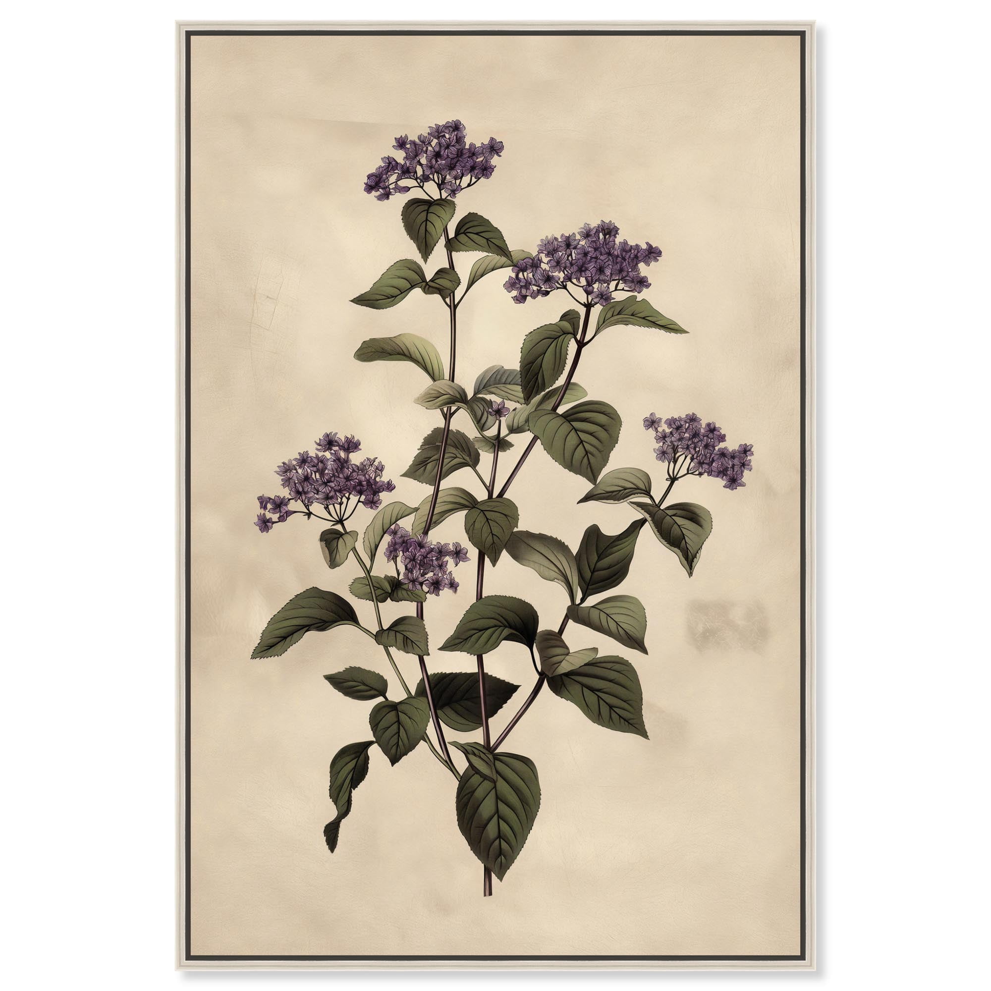 Purple Hydrangea Canvas Vintage Floral Art by Art Remedy, Silver Frame ...