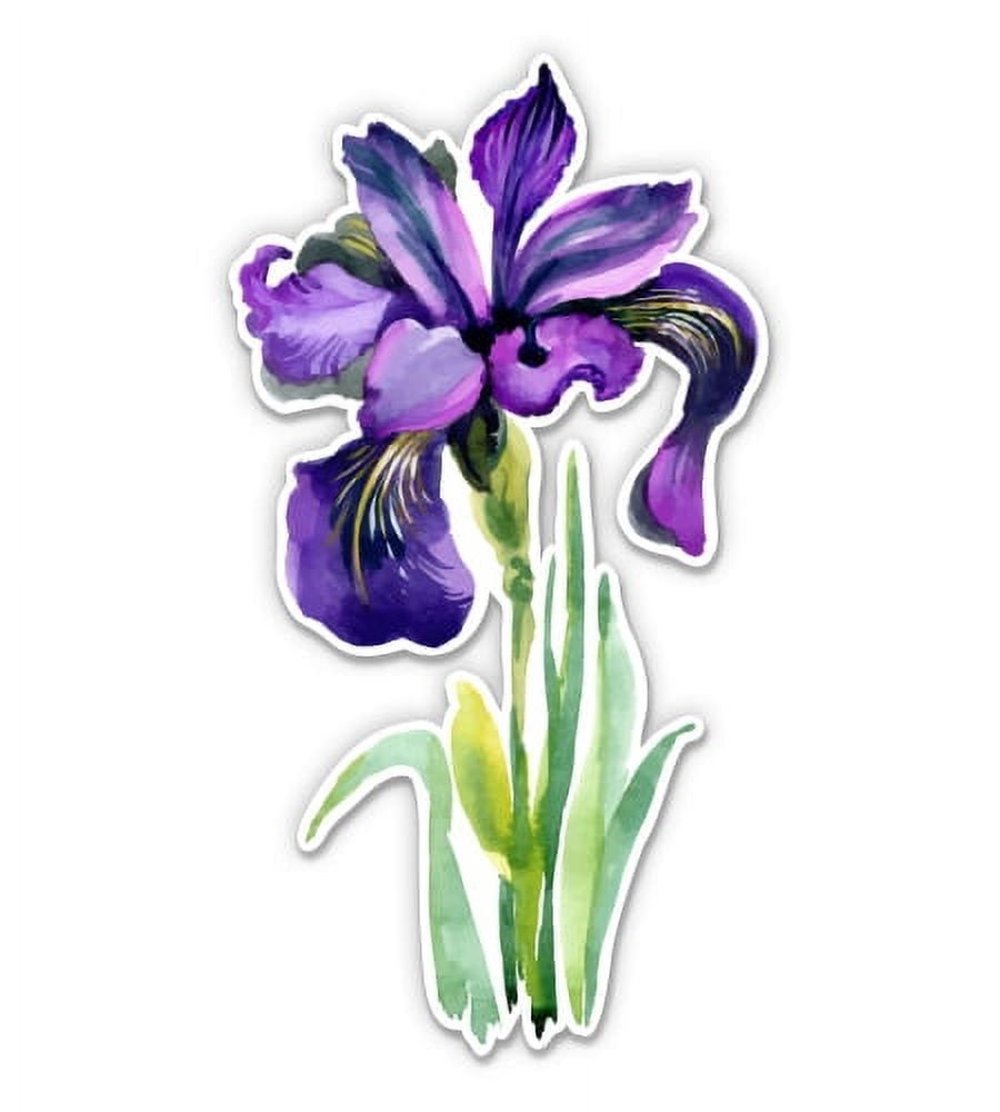 Purple Iris Flower - 12" Vinyl Sticker Waterproof Decal - Walmart.com