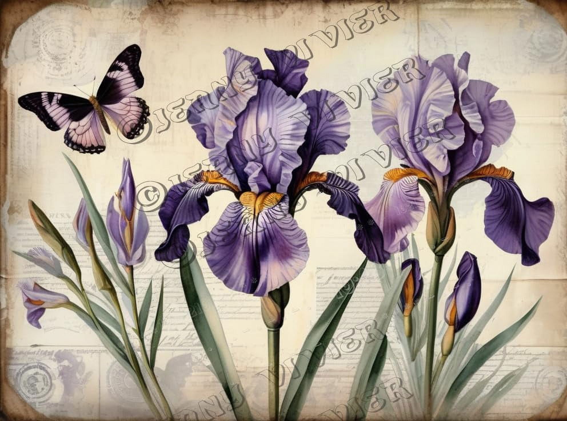 Purple Iris Flower Retro Aluminum Sign 12"x8" Metal Sign Iris Flower ...