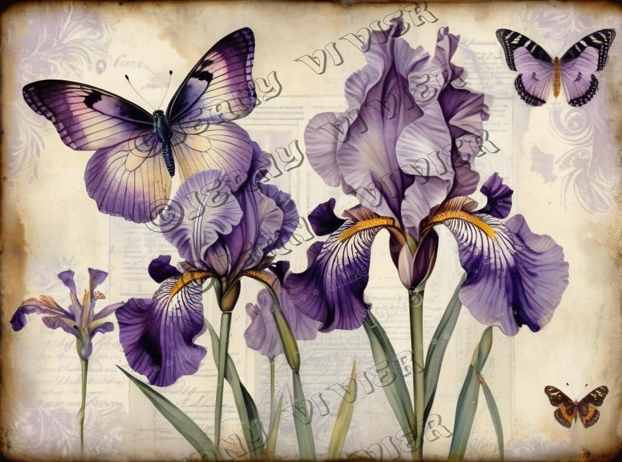 Purple Iris Flower Retro Aluminum Sign 12"x8" Metal Sign Iris Flower ...