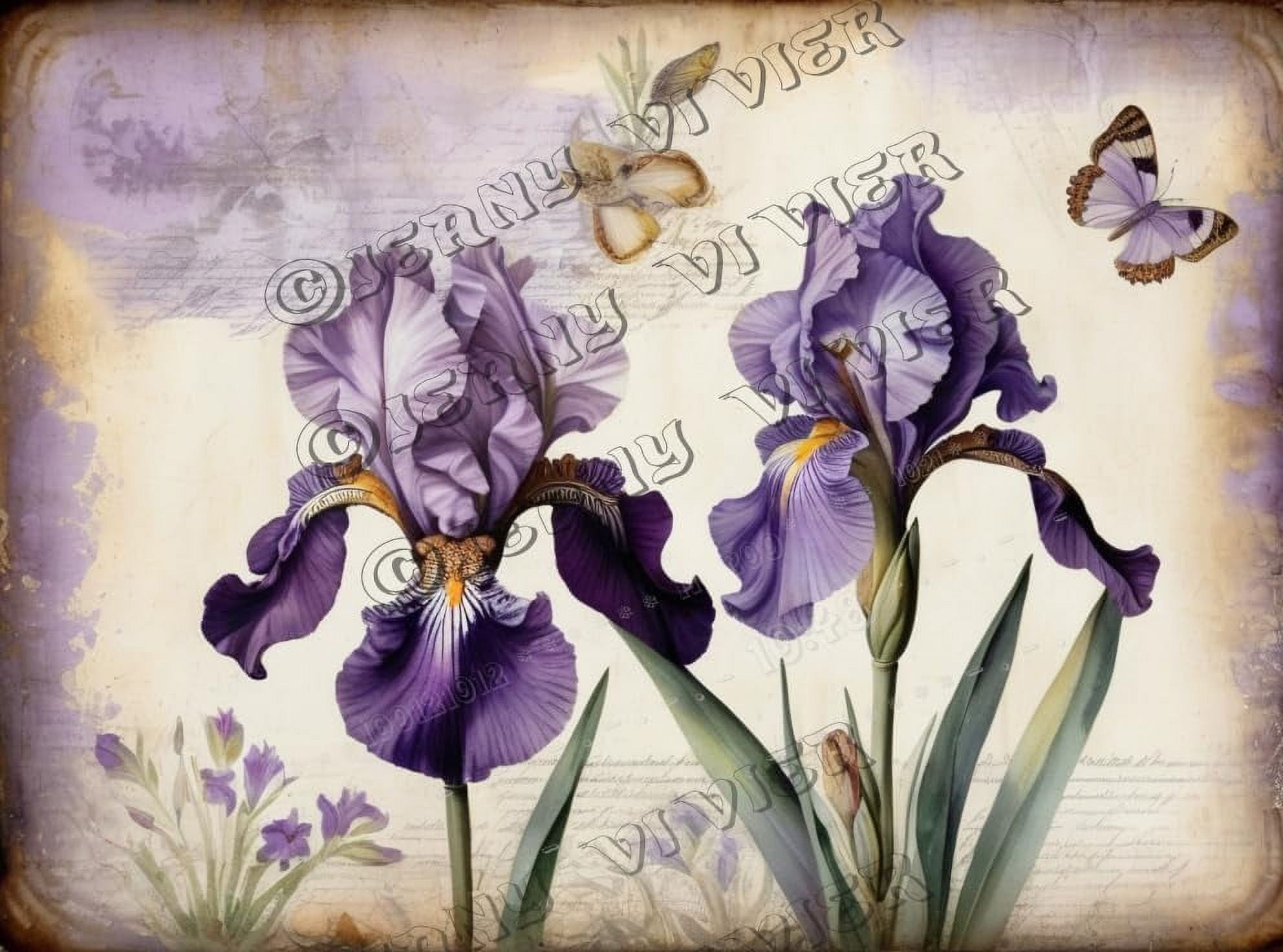 Purple Iris Flower Retro Aluminum Sign 12"x8" Metal Sign Iris Flower ...