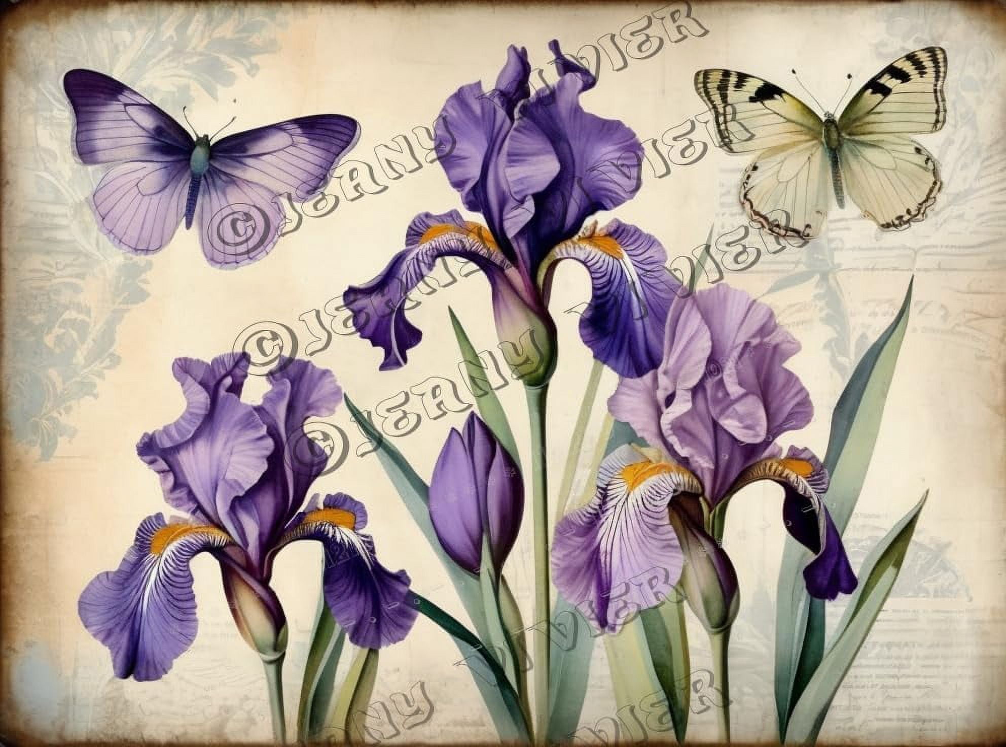 Purple Iris Flower Retro Aluminum Sign 12"x8" Metal Sign Iris Flower ...