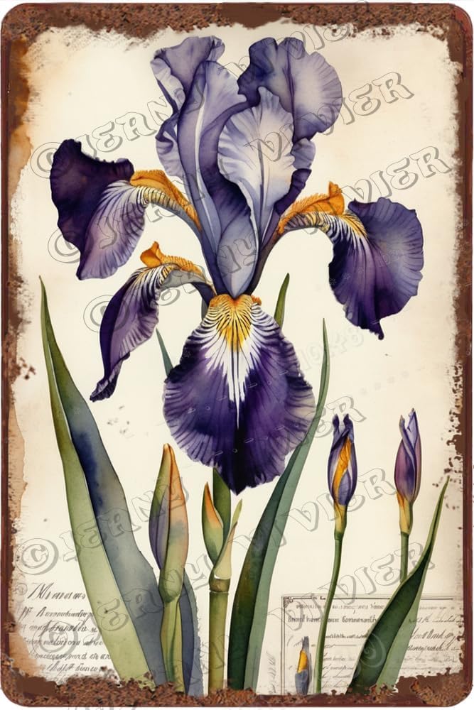 Purple Iris Flower Retro Aluminum Sign 12x8 in Metal Sign Iris Flower ...