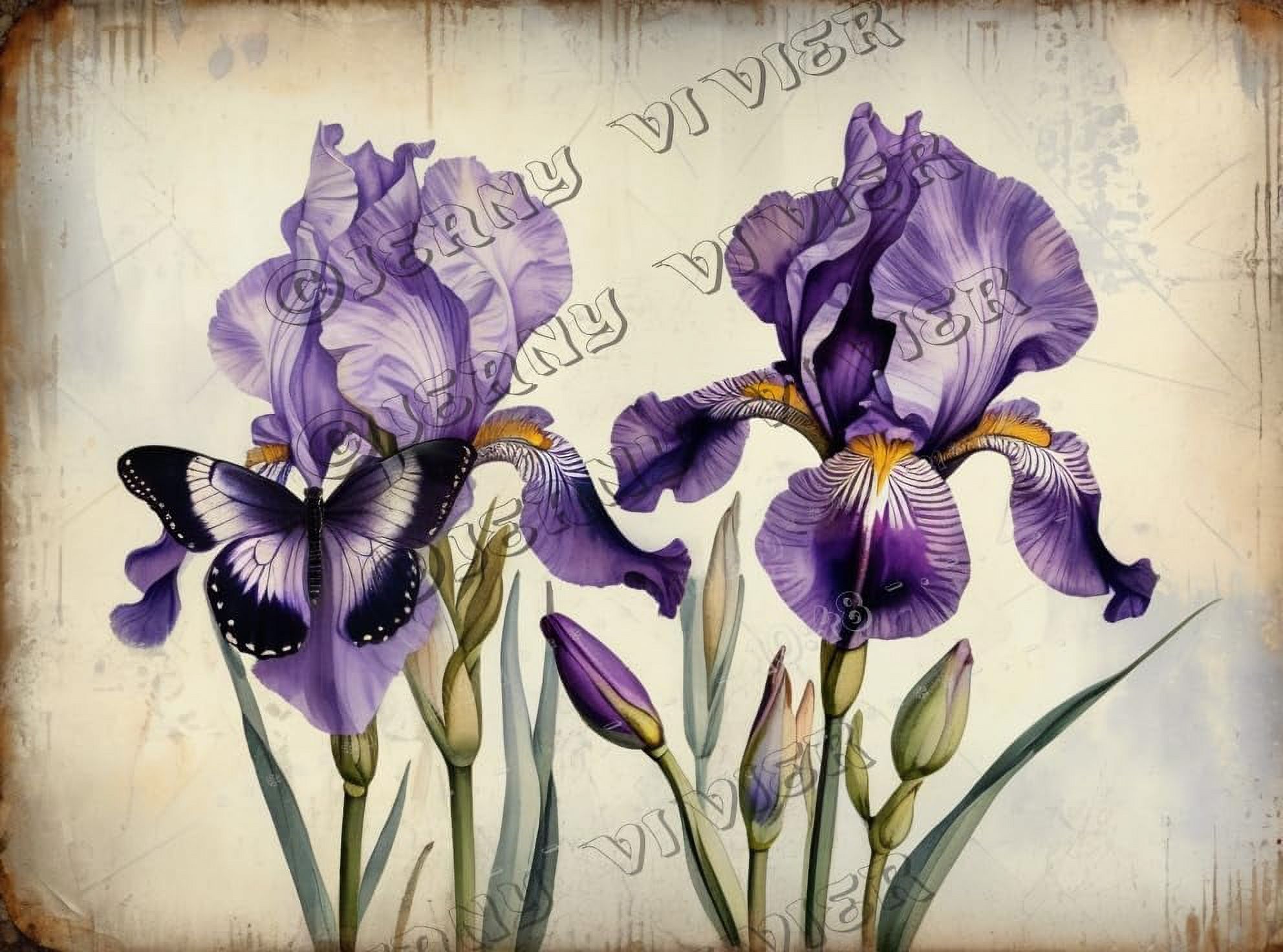 Purple Iris Flower Retro Aluminum Sign 5.5"x8" Metal Sign Iris Flower ...