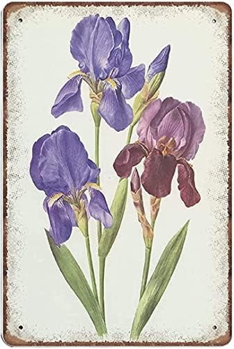 Purple Iris Tin Signs 1964 Vintage Botanical Art Violet Flower Wall ...