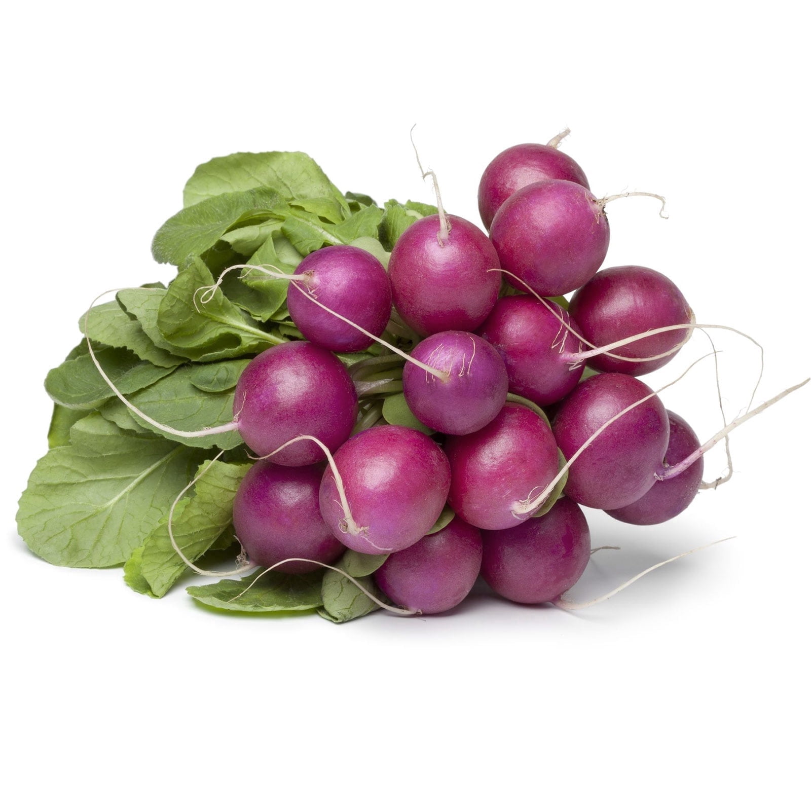 Purple Plum Radish Seeds - 1 Oz - Heirloom Garden Seeds, Non-GMO ...
