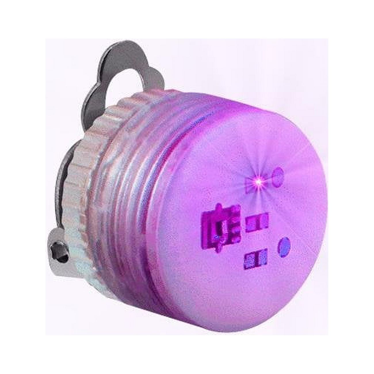 Purple Purple Clip Flashing Body Light Lapel Pins - Walmart.com