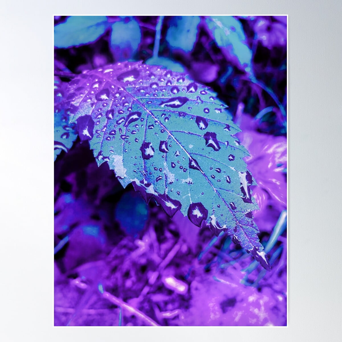 Purple Reign Poster Wall Art, Modern Wall Decor For Living Room Bedroom ...