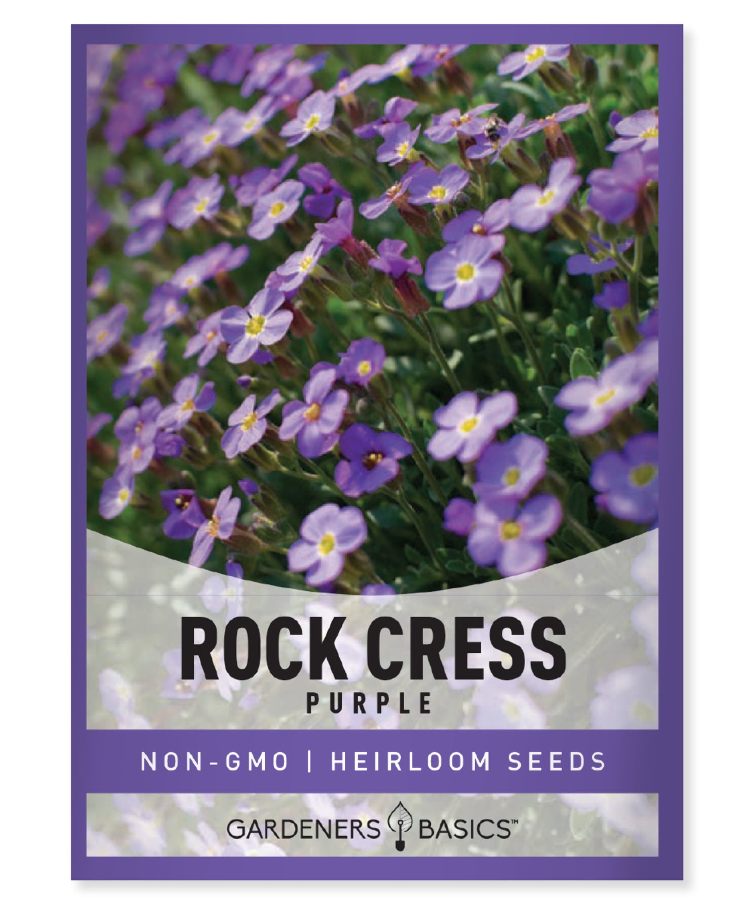 Purple Rockcress Seeds - Walmart.com