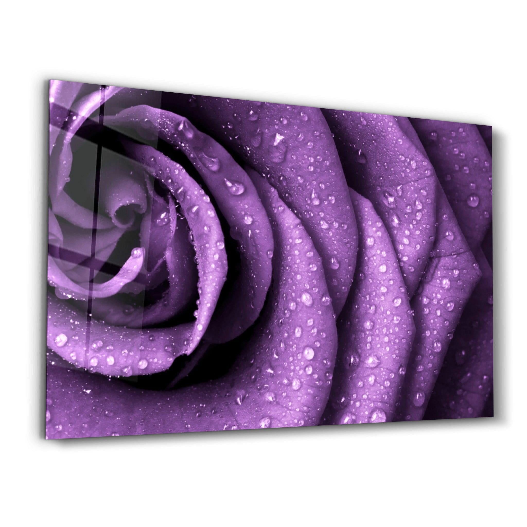 Purple Rose | Glass Wall Art - Walmart.com