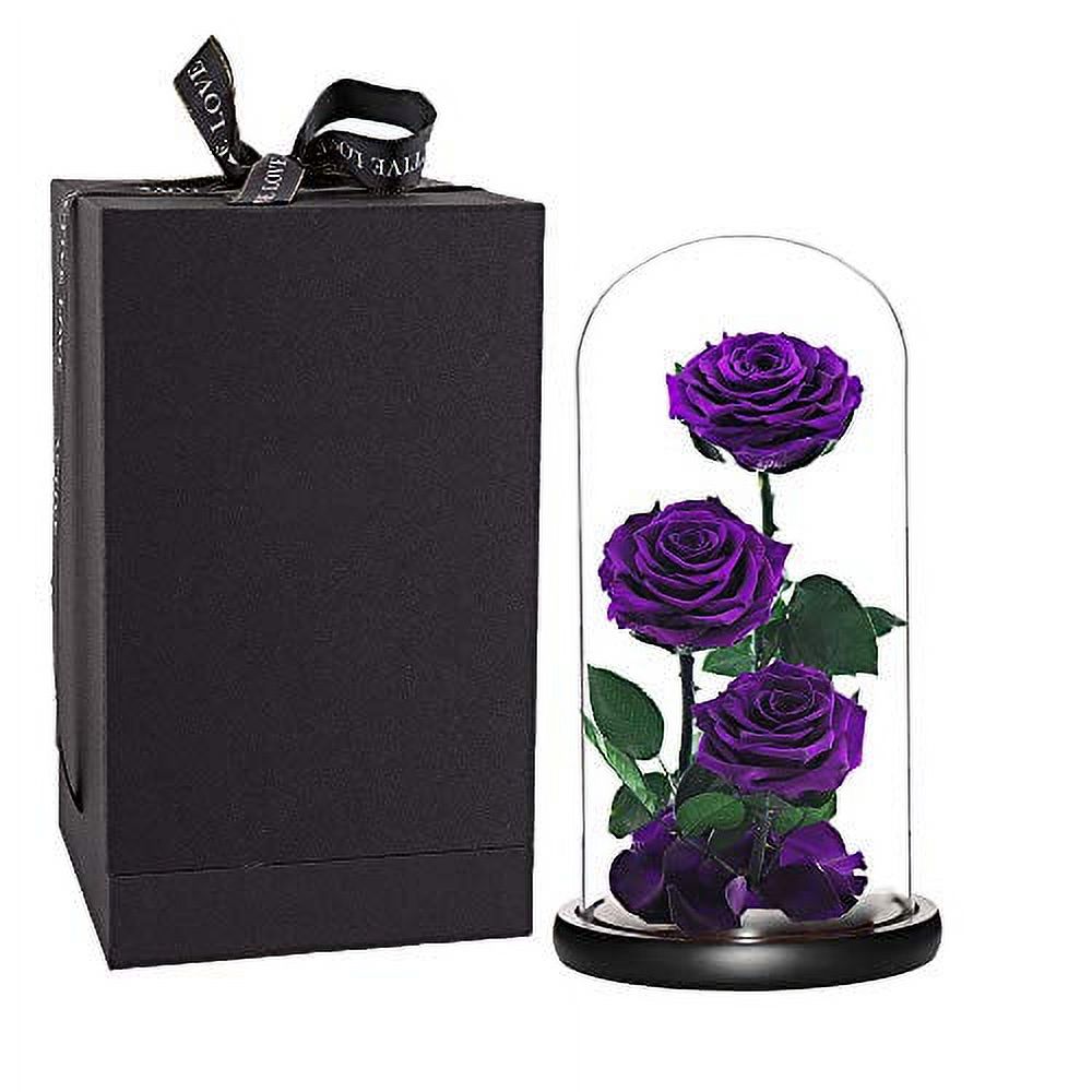 Purple Roses Handmade Preserved Real Rose in Glass Dome, Long Lasting ...