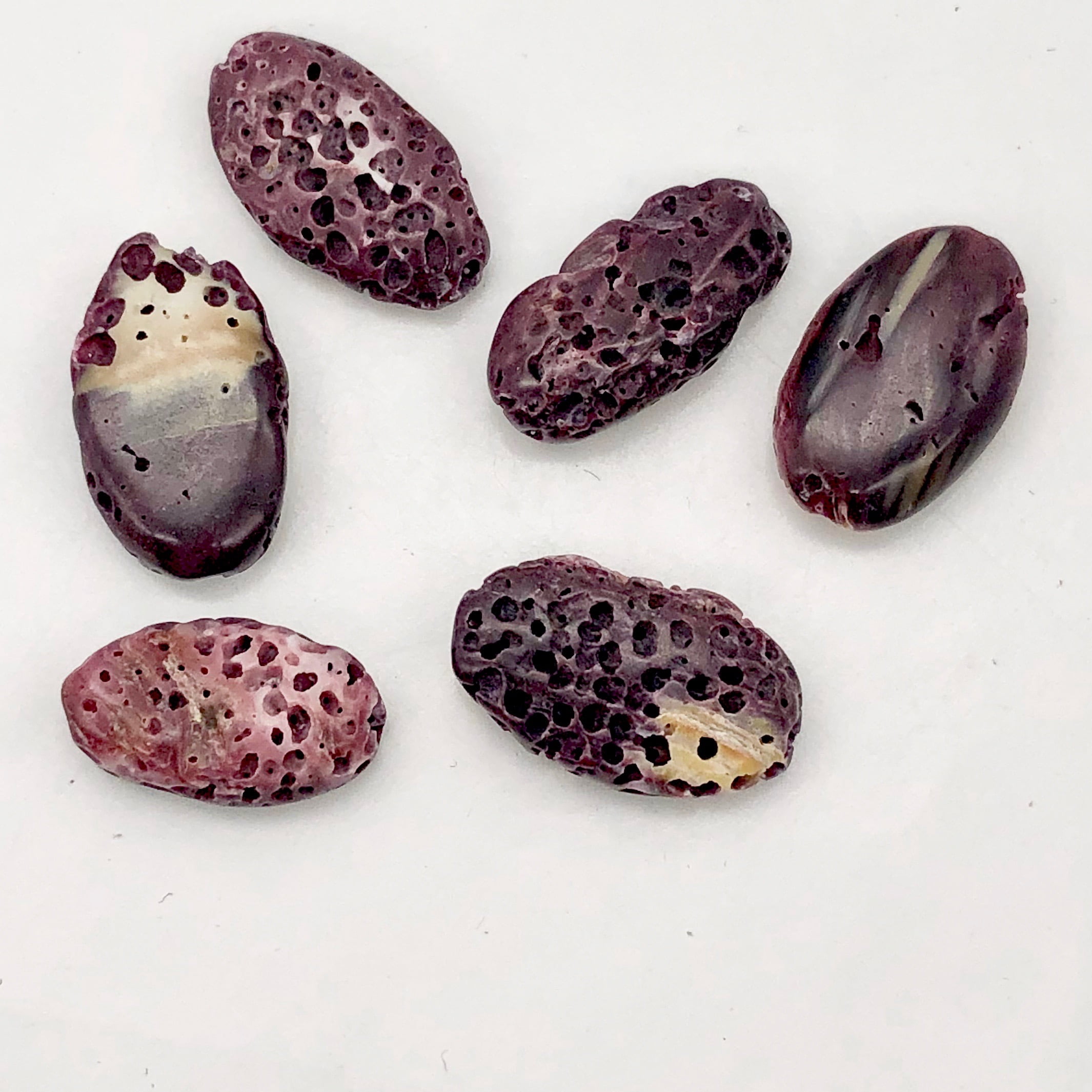 Purple Spine Oyster Shell Oval | 16x10x6 | Purple Orange | 6 Bead(s ...