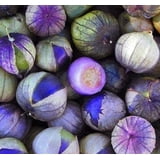 Purple Tomatillo Seeds for Growing | 100+ Seeds | Make Salsa | Made in ...