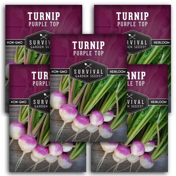 Purple Top Turnip Seeds for Planting | Heirloom Root Vegetable ...