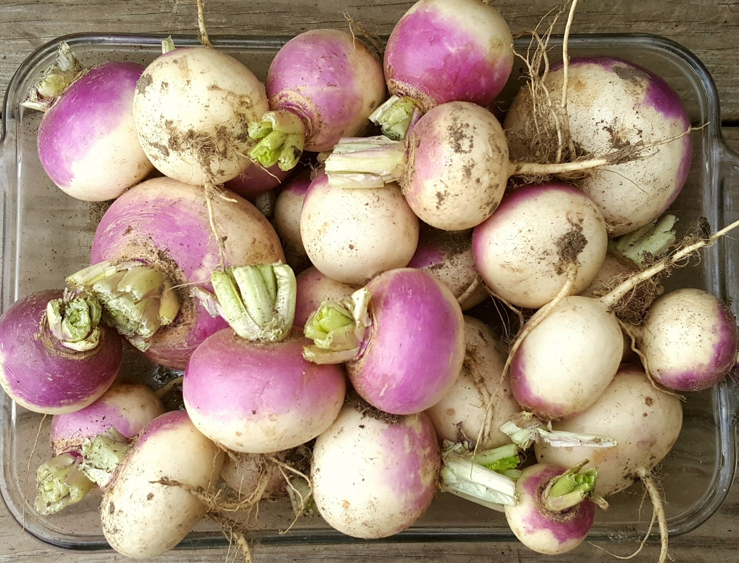 Purple Top White Globe Turnip Seeds/Annual/Full Sun/880K Seeds 5 lb ...