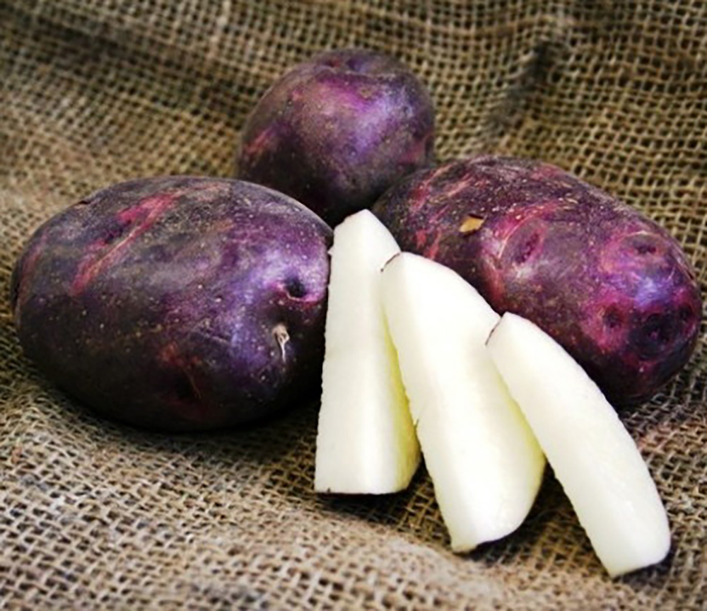Purple Viking Seed Potato 6 Tubers - Heirloom - Great Taste! - Walmart.com