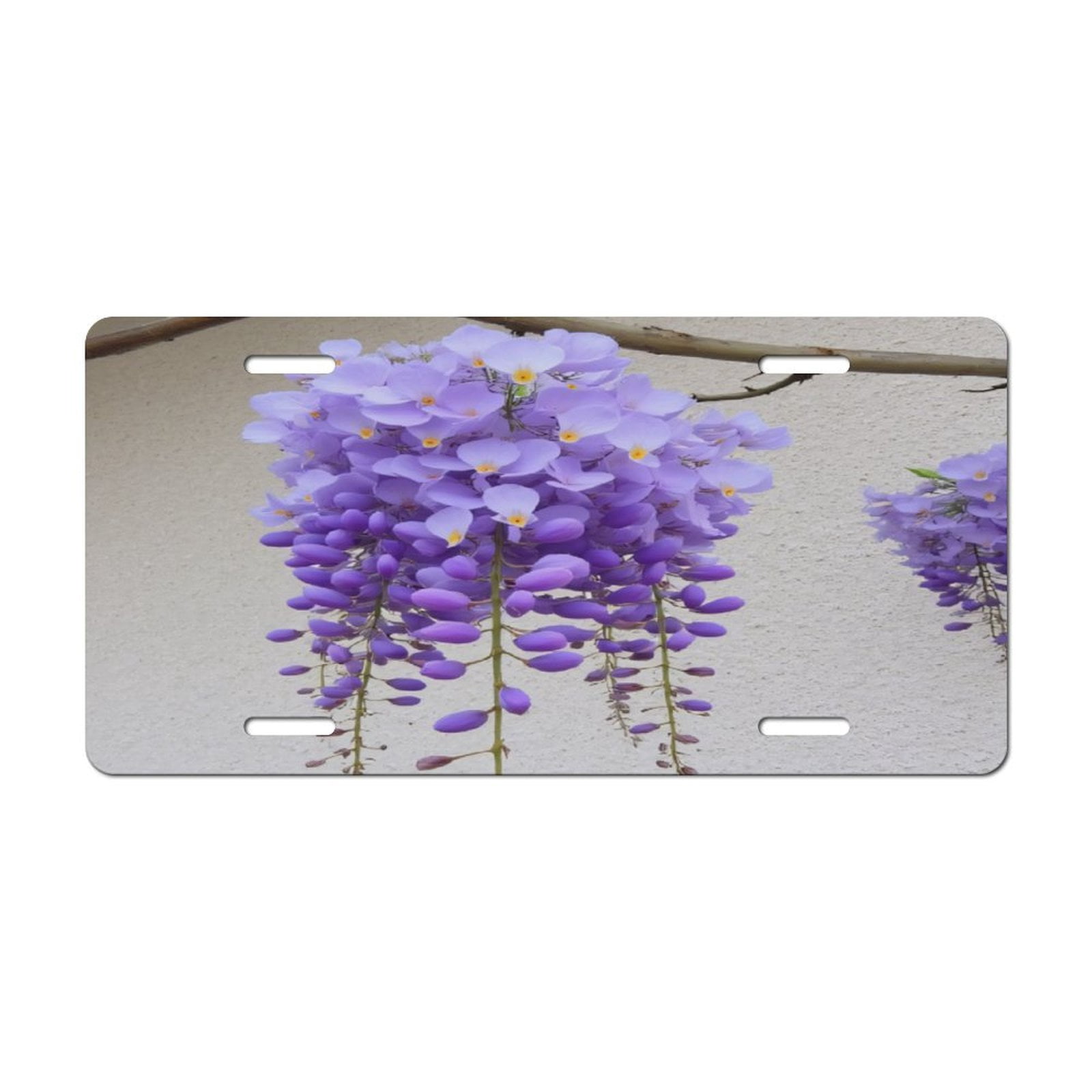 Purple Wisteria Blossoms Car Decorative Front License Plate,Vanity Tag ...