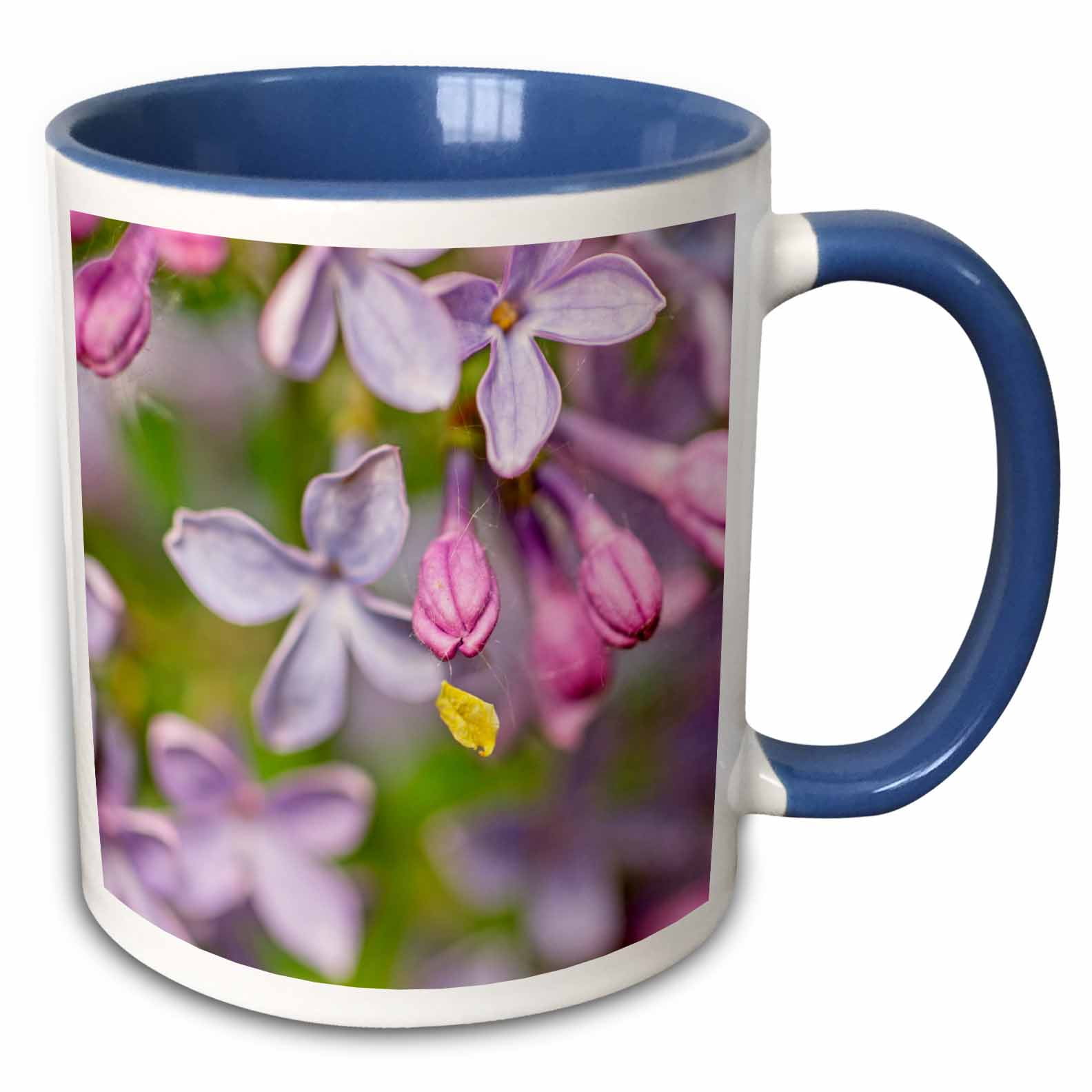 Purple lilac flowers bud and a tiny yellow leaf. Beauty of spring 15oz ...