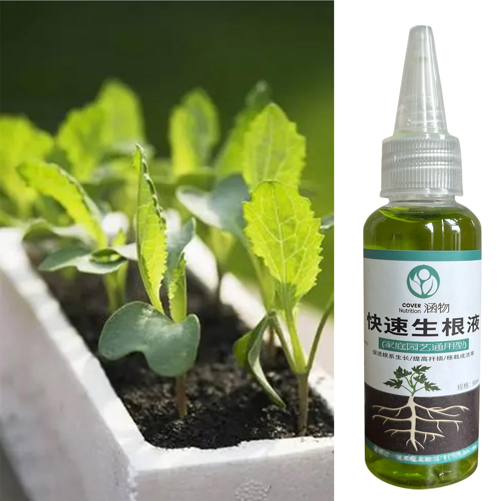 Purpose Rooting Solution For Plants Rapid Rooting Solution Plant Growth ...