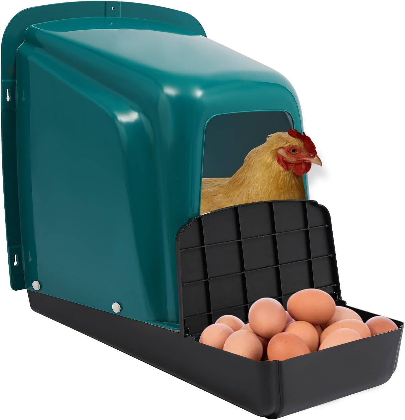 Purptarol 5 Pack Chicken Nesting Boxes, Rolling Egg Collection and ...