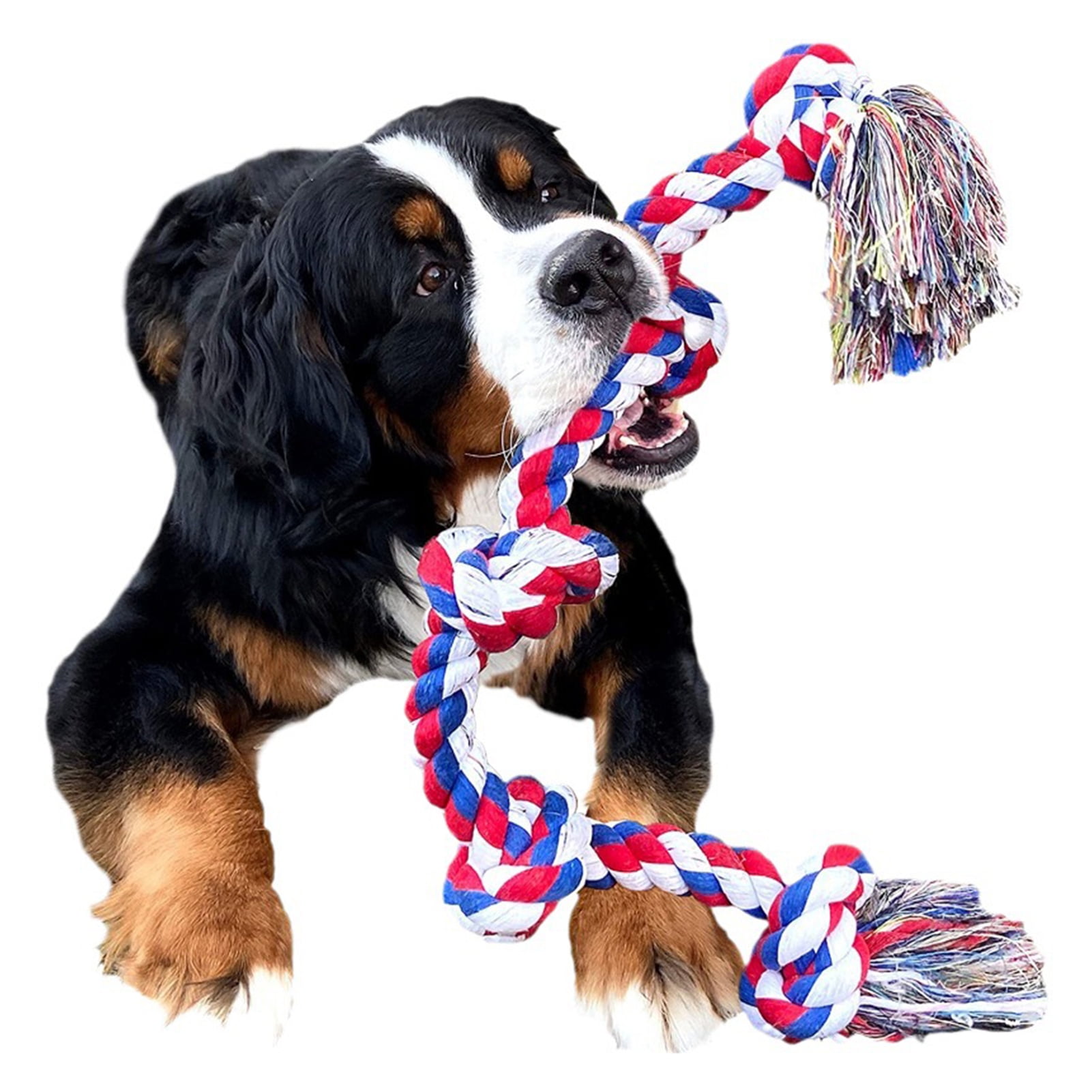 Purrfect 5-Knot Dog Rope Toy Heavy-Duty Dog Chew Rope Toy for ...