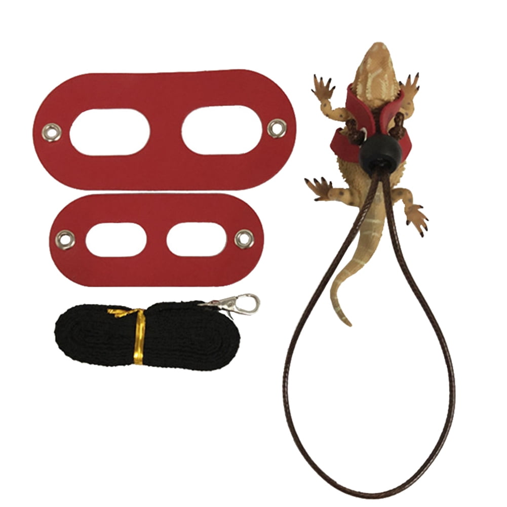 Purrfect Adjustable Reptile Leash Bearded Dragon Lizard Harness Wing ...