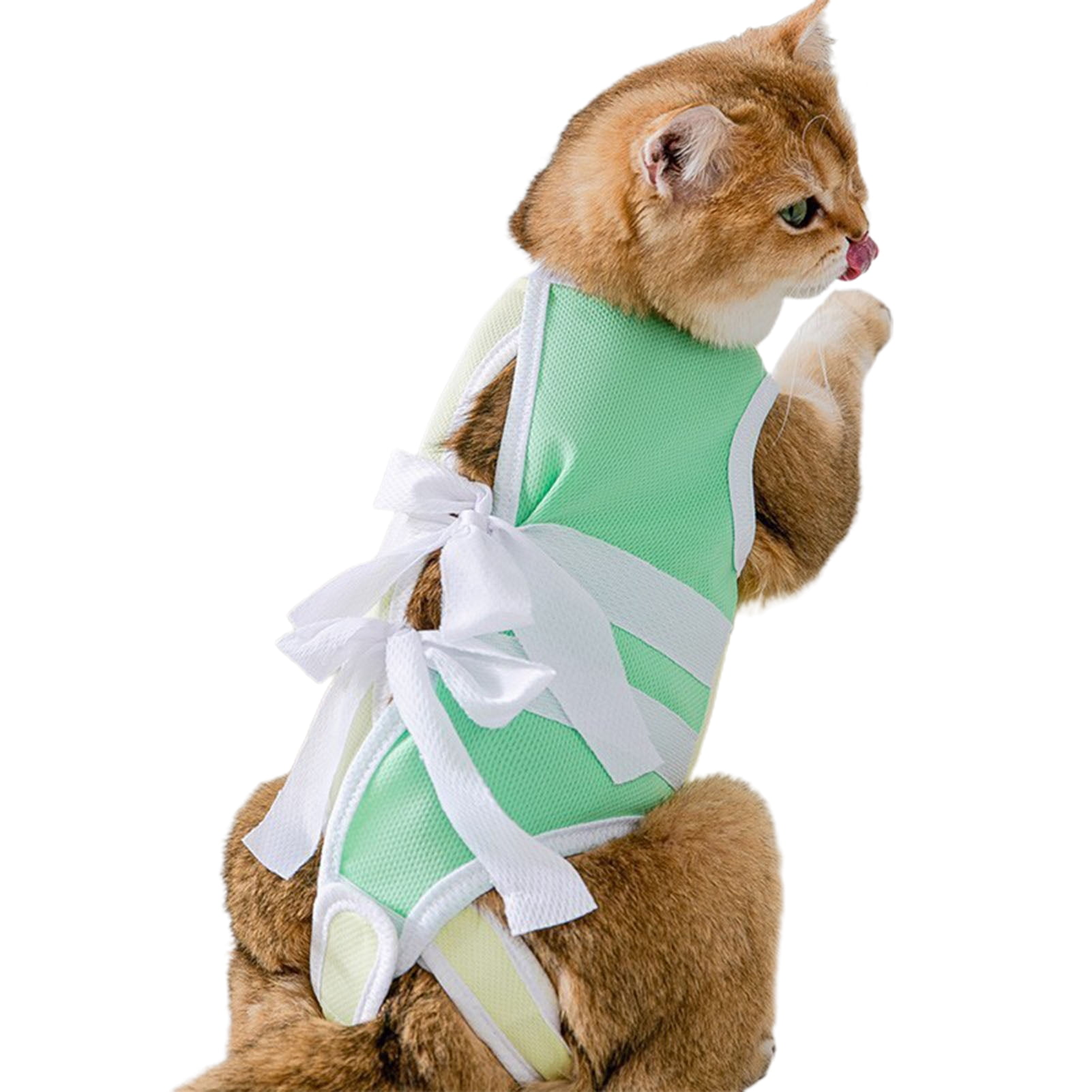 Purrfect Cat Recovery Suit Cartoon Pattern Friendly to Skin Breathable ...