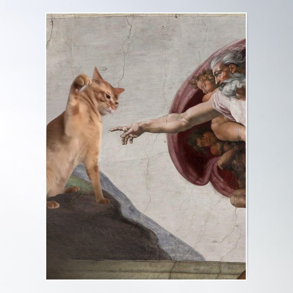 Purrfect Creation: And God Created Cats Poster Wall Art, Modern Wall ...