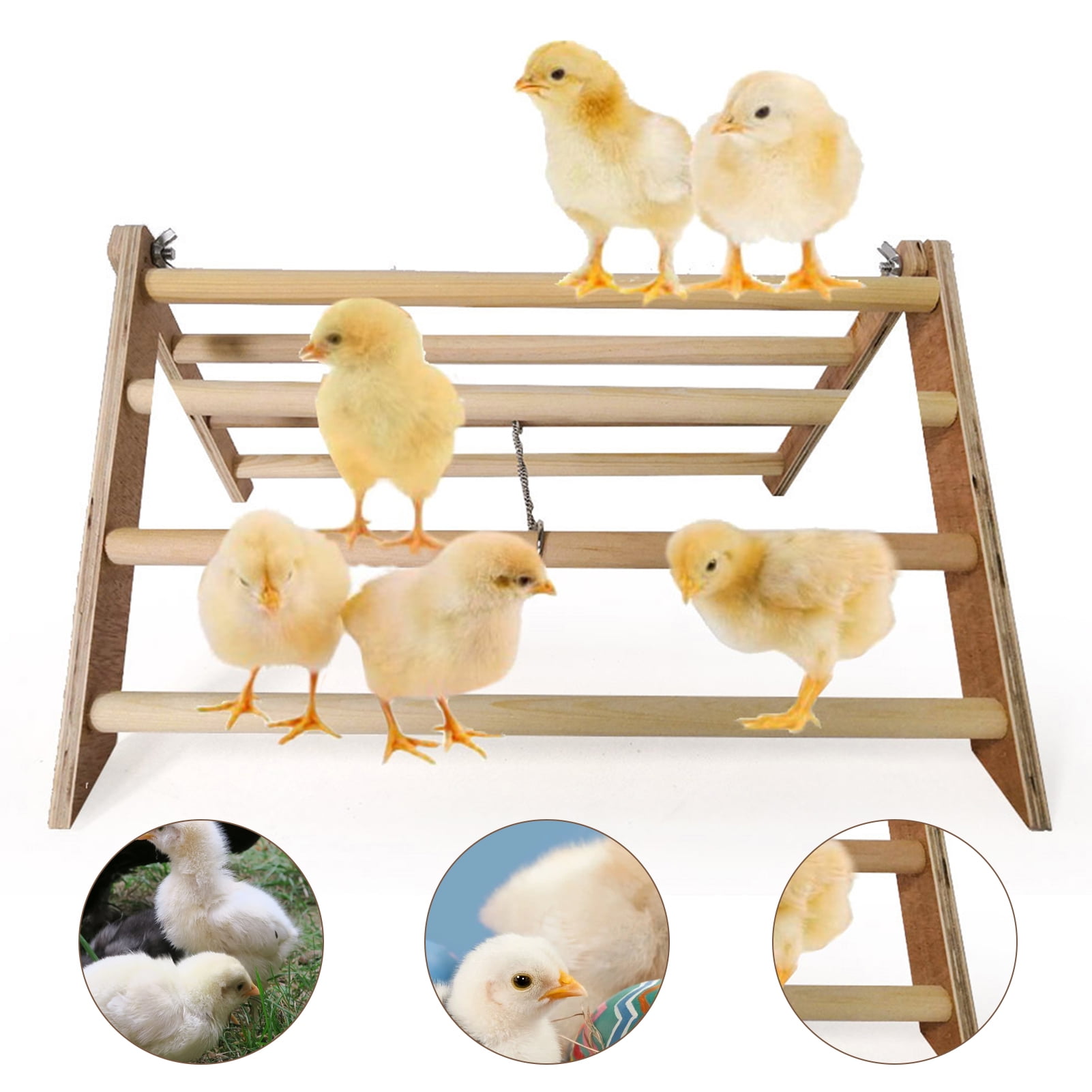 Purrfect Parrot Perch Natural Minimalistic Long Lifespan Parrot Pet ...