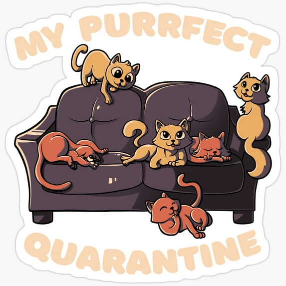 Purrfect Quarantine Sticker Phone Decal Water Bottle Stickers Car ...
