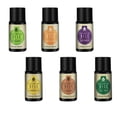 Pursonic 6 Pack Aroma Therapy Essential Oils - Walmart.com