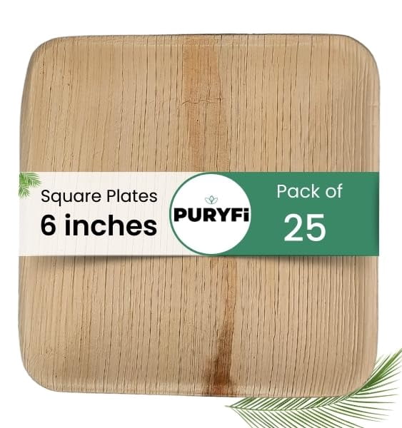 Puryfi 6 Inch Disposable Plates for BSL1 Party (Pack of 25) | Like ...