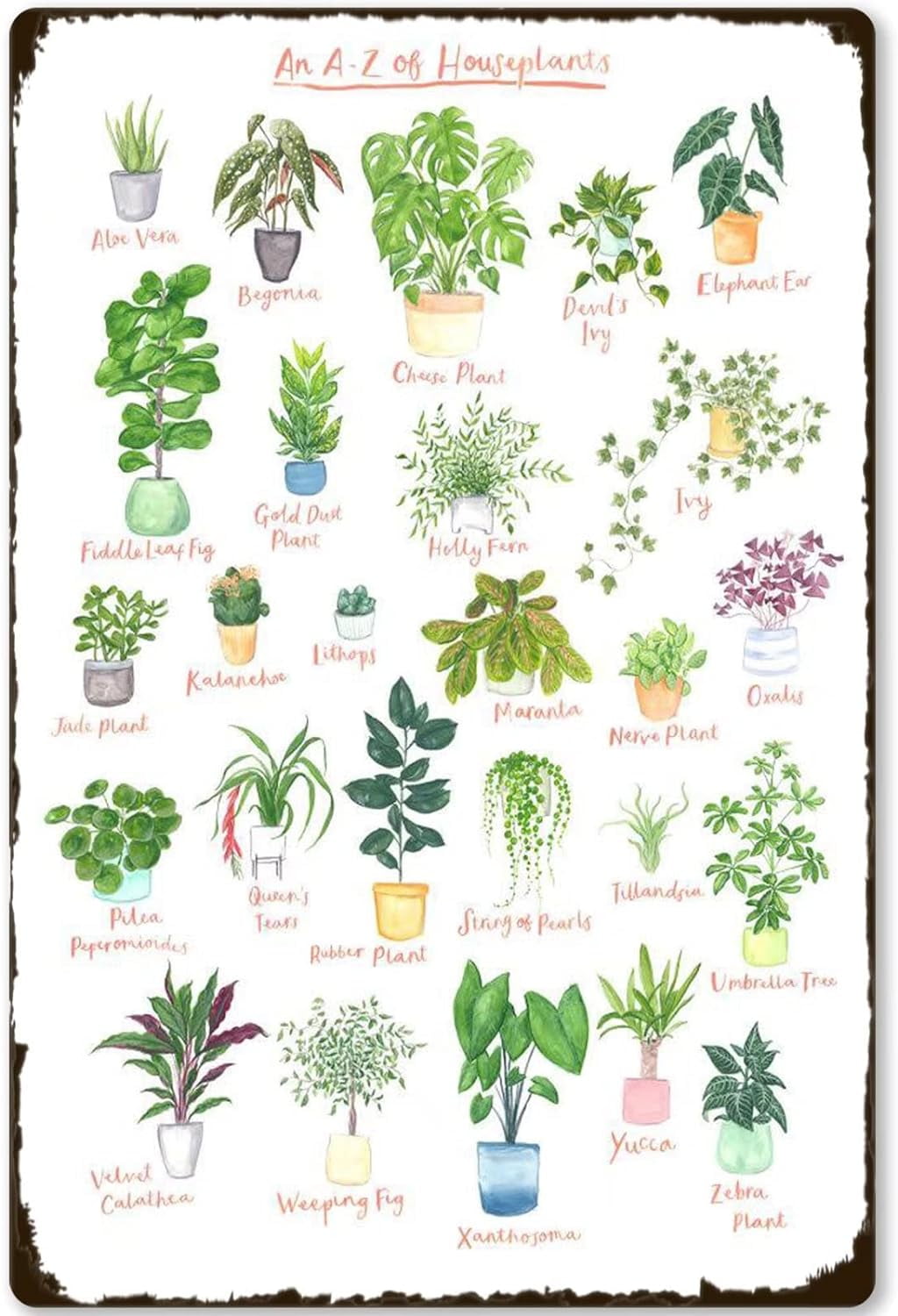 PuseTaer Types of Houseplants Metal Sign - Walmart.com