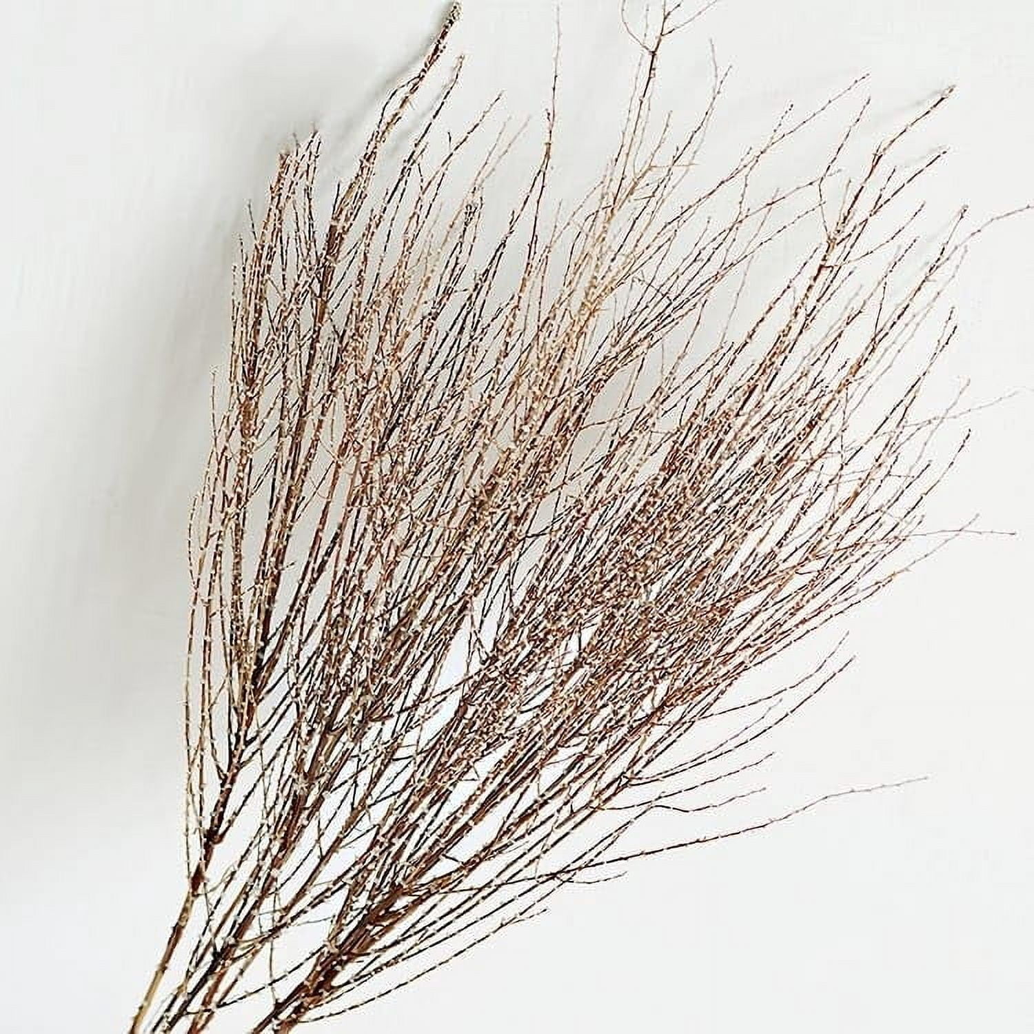 Pussy Willow Branches - 2 Ft/Snow Willow Natural Branches - Walmart.com