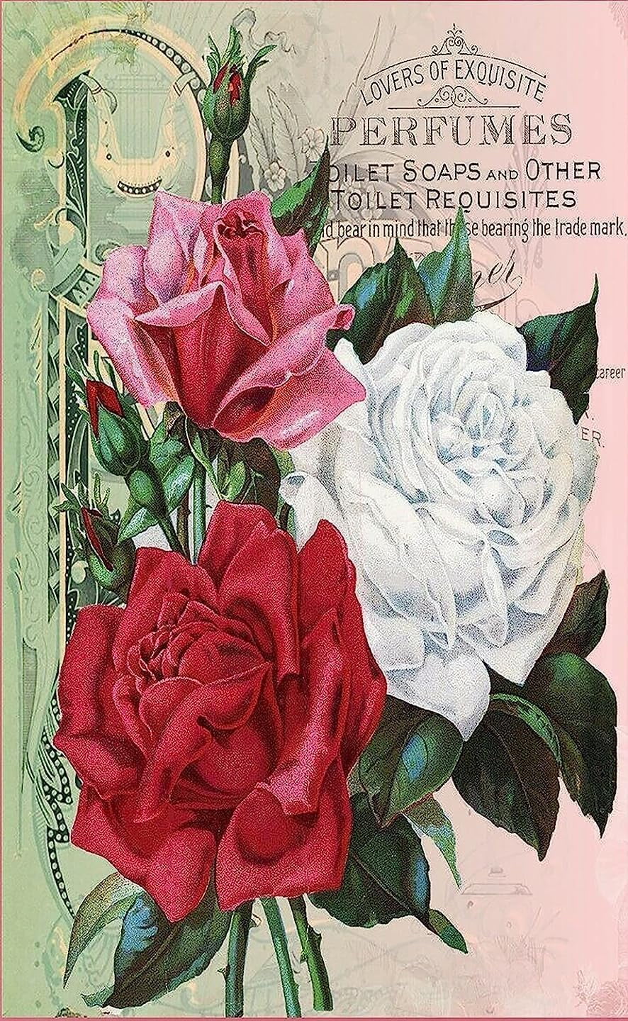 Puzzle 500 Pieces Red White Roses Styles for Players Who Like to ...