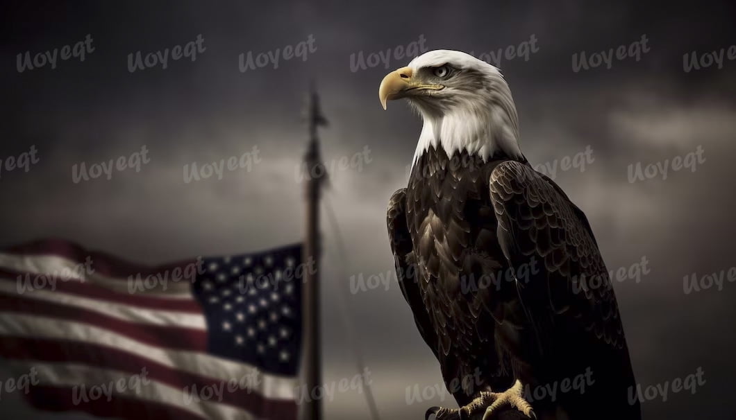 Puzzle for Adults 500 Pieces Wooden jigsaw puzzle Bald Eagle Soaring ...