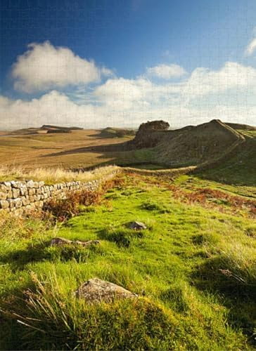 Puzzle for Adults Jigsaw Puzzles Thick Sturdy Hard Challenging ...